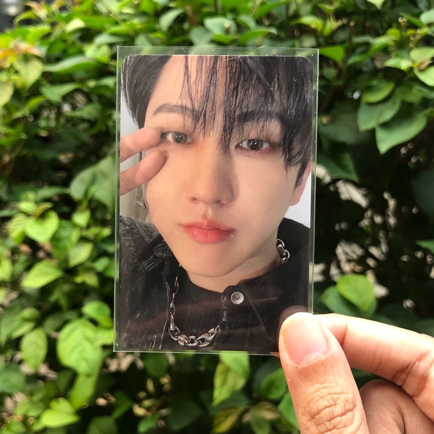 Changbin 5-Star Album Photocard Closeup PC OFFICIAL Stray Kids SKZ ...