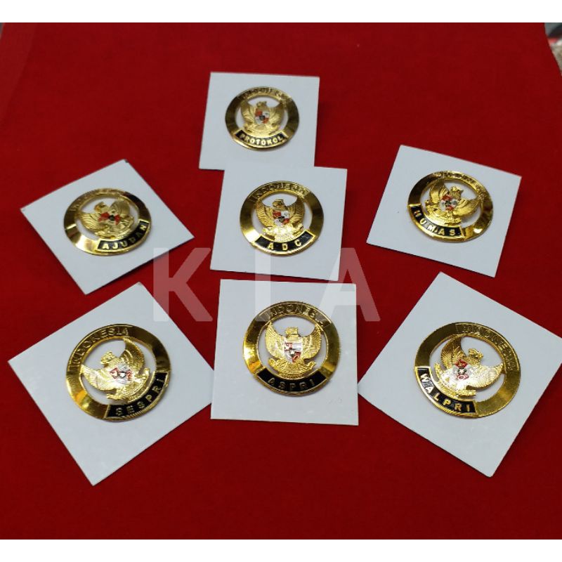 Pin Protocol/Advancement/Sespri/Aspri/Adc/Humas/Walpri/Driver | Shopee ...