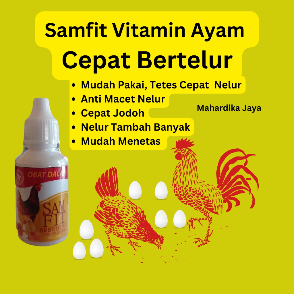 Vitamins for chickens that lay eggs quickly. Anti-jamming lust ...