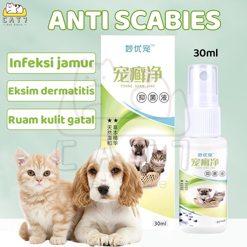 Anti SCABIES Cat Fungus Medicine Demodex Impetigo Fungus Flea Parasite ...