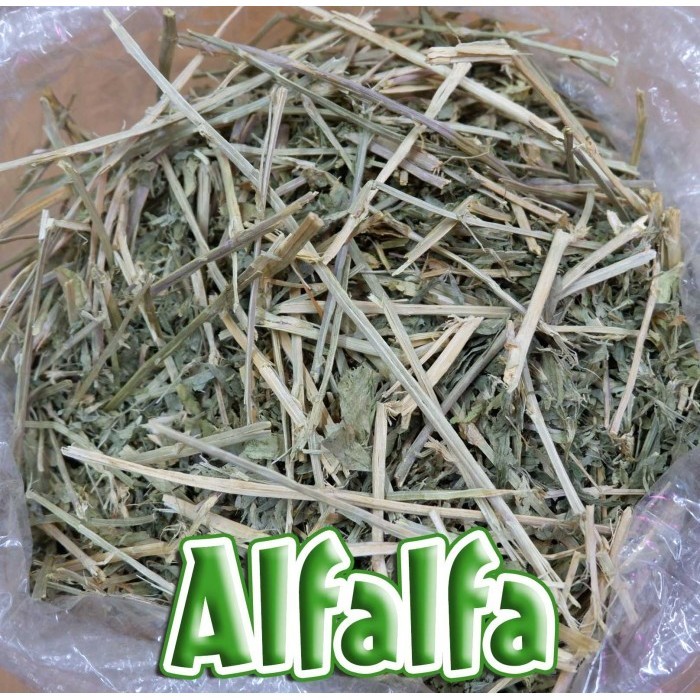 Timothy Hay By Ocean Hay Repa 1Kg/ Marmot Rabbit Food/Timothy Hay ...