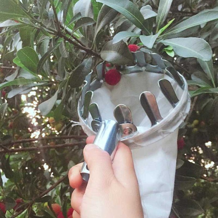 Net Net Picking Tool Tree Fruit Picker Collector Net Head Net Fruit ...