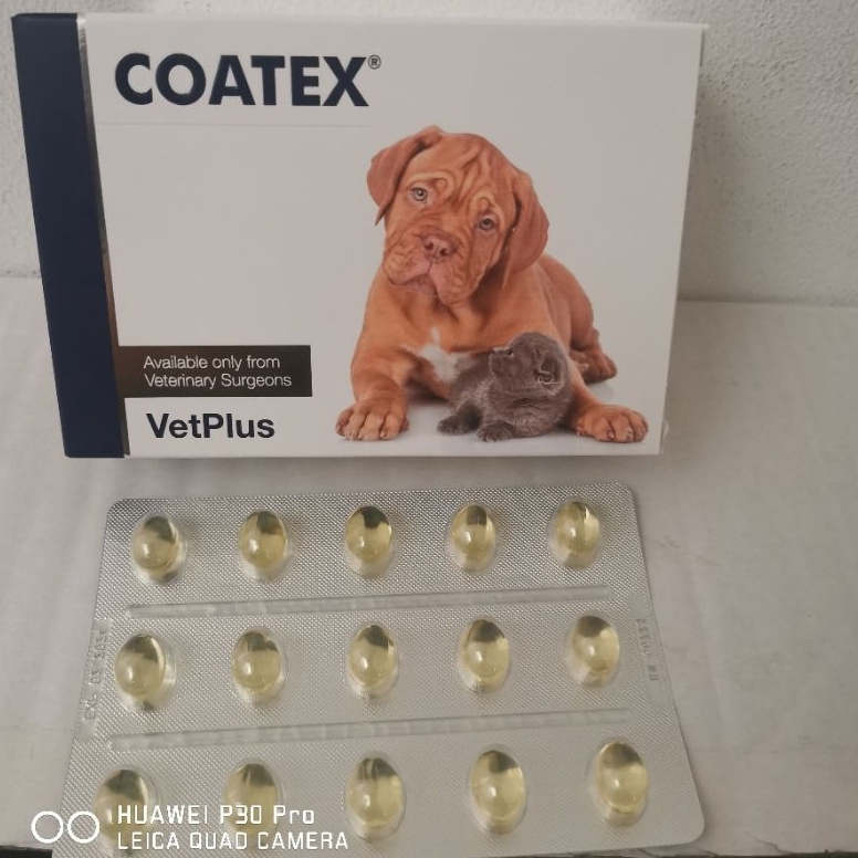 Latest Trends.. COATEX EFA CAPSUL (1 STRIP @ 15 CAPSUL)-VETPLUS COATEX ...