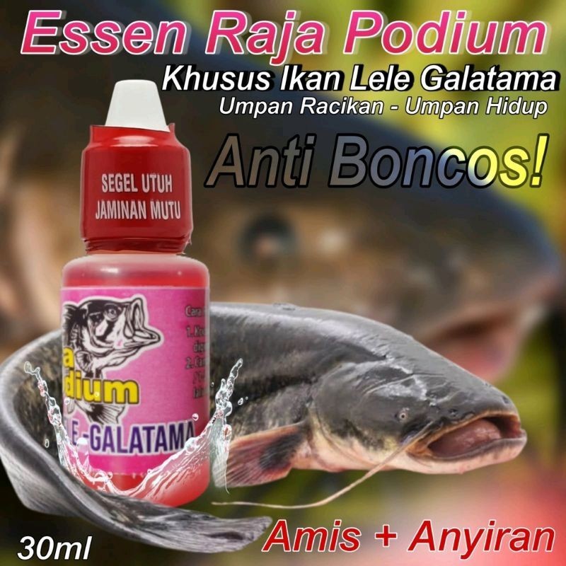 Essen Oplosan The Most Popular Catfish Tank Top, Essen Raja Podium ...