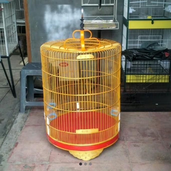 Price DISC - Permisan Magpie Cage no. 1, The Carpet Is Eating And ...