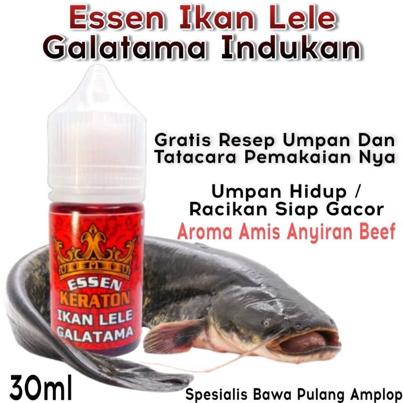 Essen Super Premium Keraton Special For Catfish, Essen- The Most ...