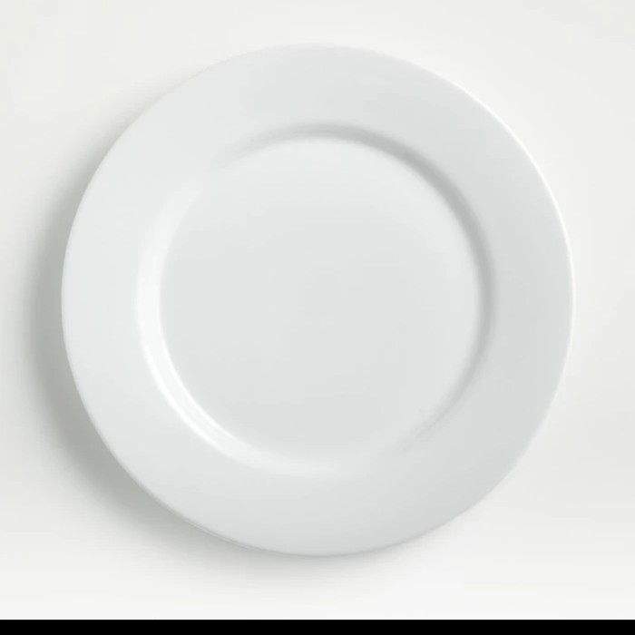 PUTIH Plain White Porcelain Ceramic Flat Dinner Plate 10" Blanc Dinner ...