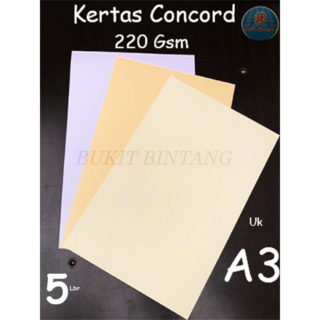 220 Gsm Concord Paper A3 Size Contains 5 Sheets (White Concord, Cream ...
