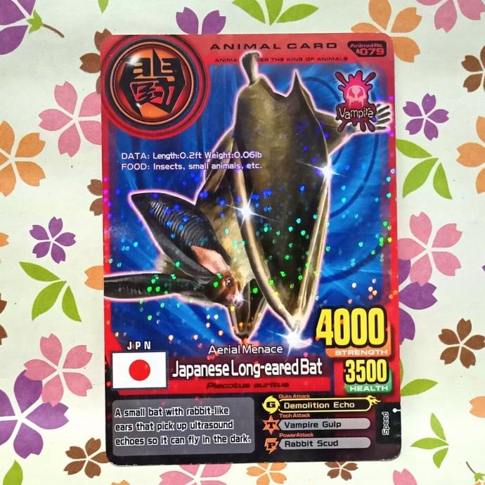 Animal kaiser normal japanese long eared bat Version 5 | Shopee Malaysia