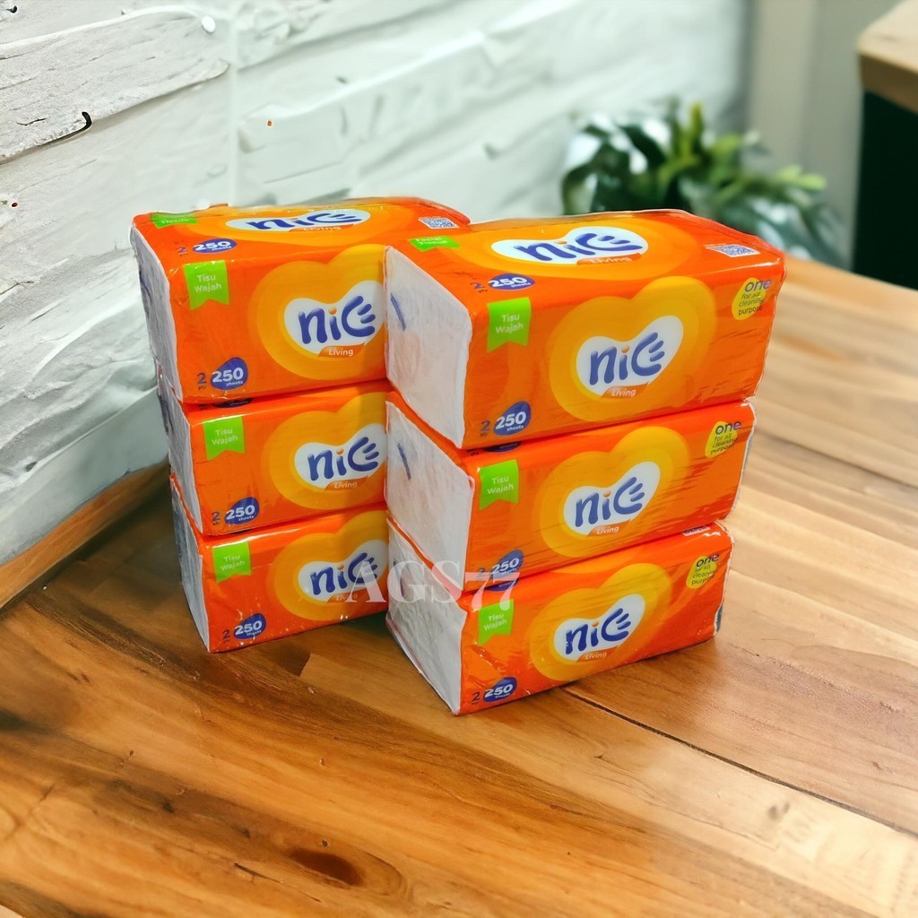 (250Sheets 6 pcs) Dry Tissue New Nice Living Facial Tissue 2ply 250 ...