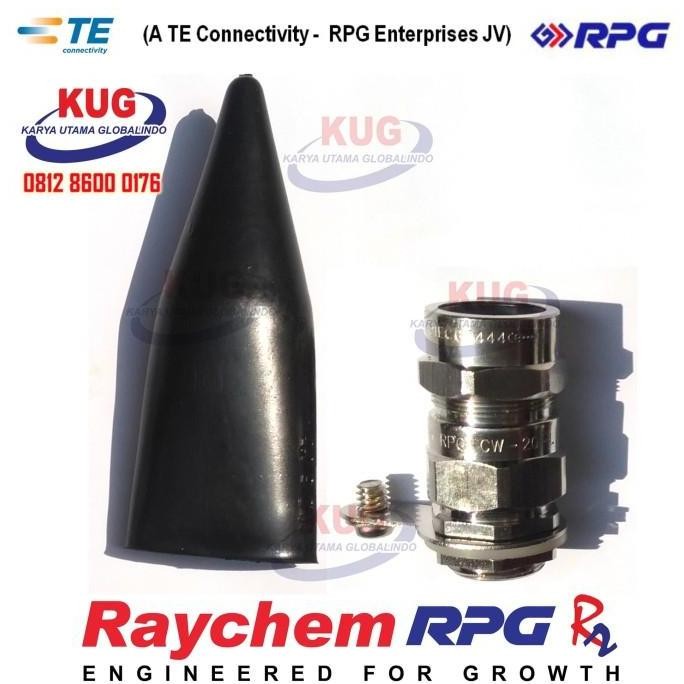 RRPL E1W 75L. RAYCHEM INDUSTRIAL CABLE GLAND. ARMOR. DOUBLE COMPRESS ...