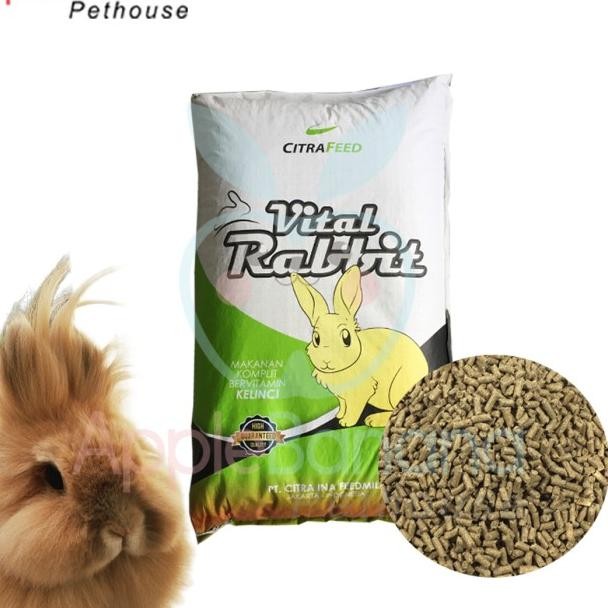 Citra Feed Vital Rabbit Rabbit Rabbit Food Package of 10 Kg Rabbit ...