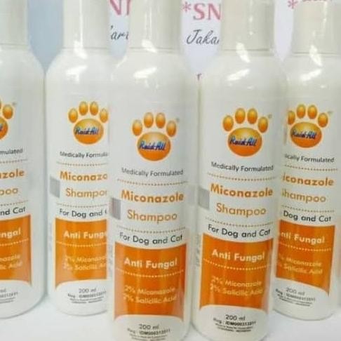 SAMPO Raid-All Miconazole Shampoo 200ml Anti-Fungal Shampoo Not ...