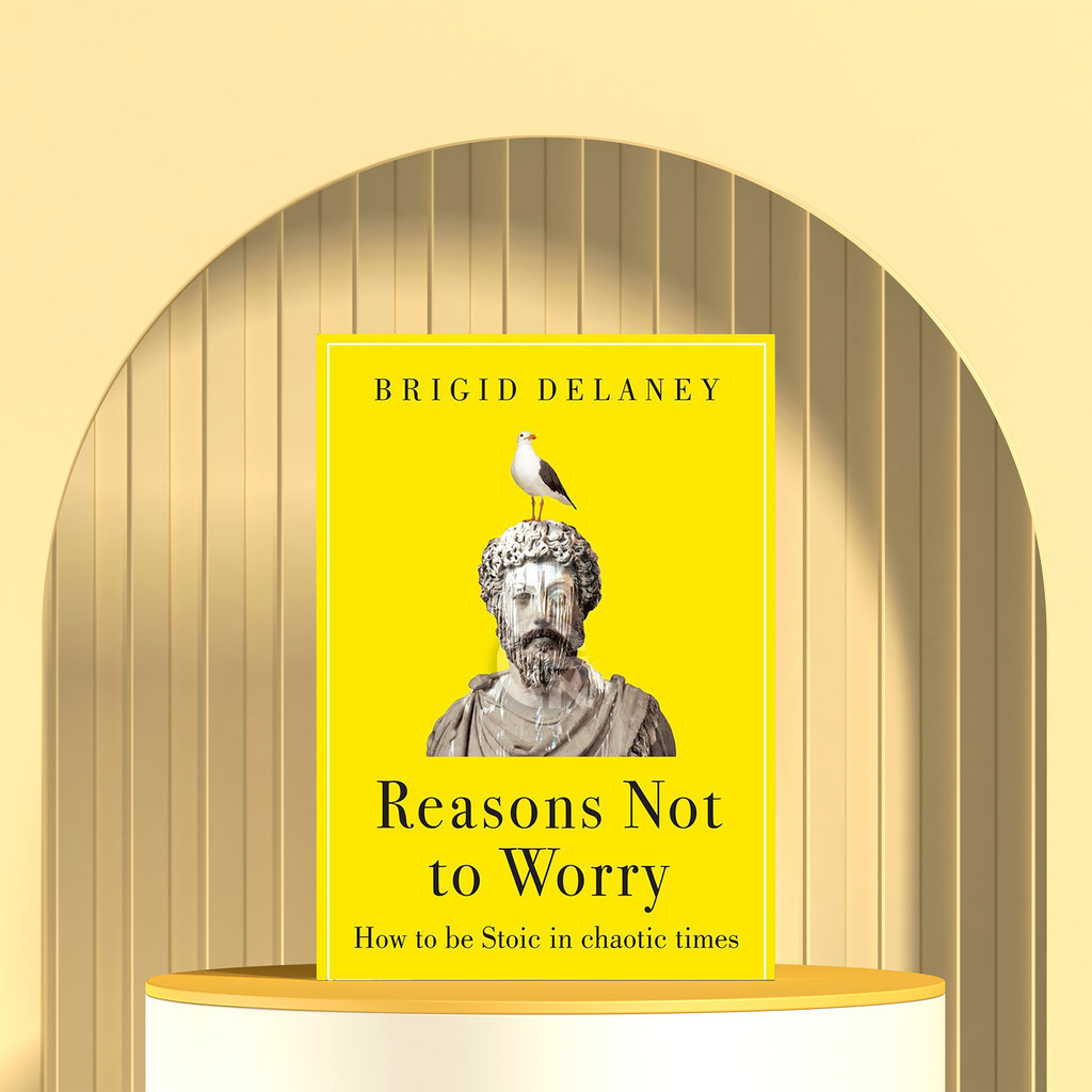 Reasons Not to Worry: How to Be Stoic in Chaotic Times by Brigid ...