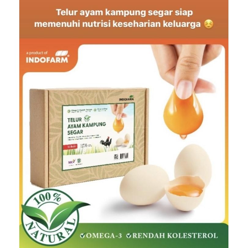 Lola KAMPUNG Chicken Eggs Organic Omega-3 Free Range Eggs INDOFARM 1 Box BS66 | Shopee Malaysia