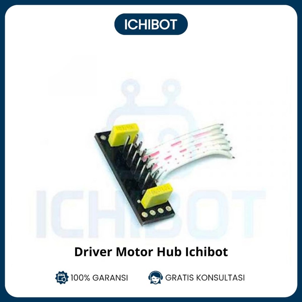 Ichibot Hub Motor Driver - SOCKET HEADER | Shopee Malaysia