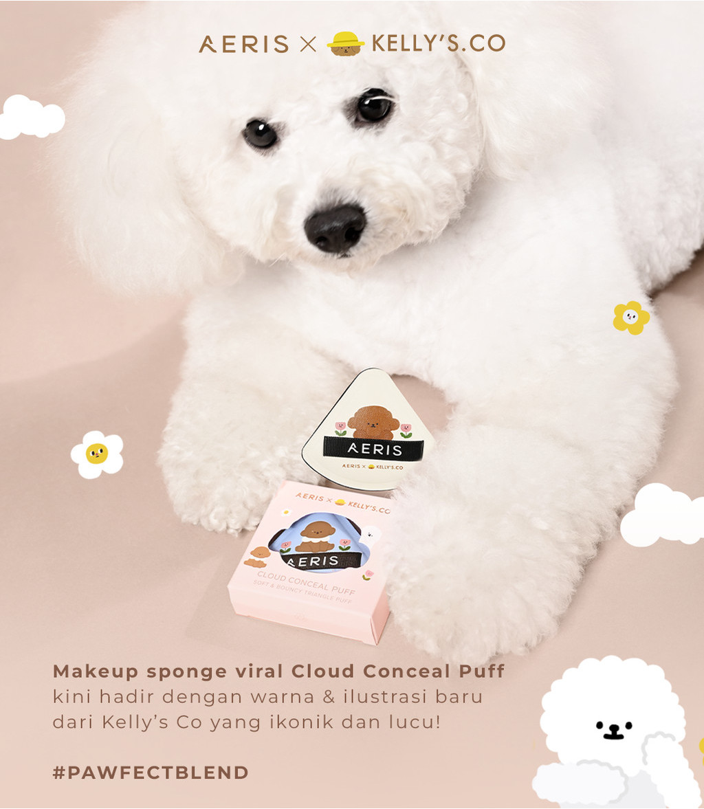 Aeris Beauté x Kelly's Co. Cloud Conceal Puff | Multifunctional Thick ...