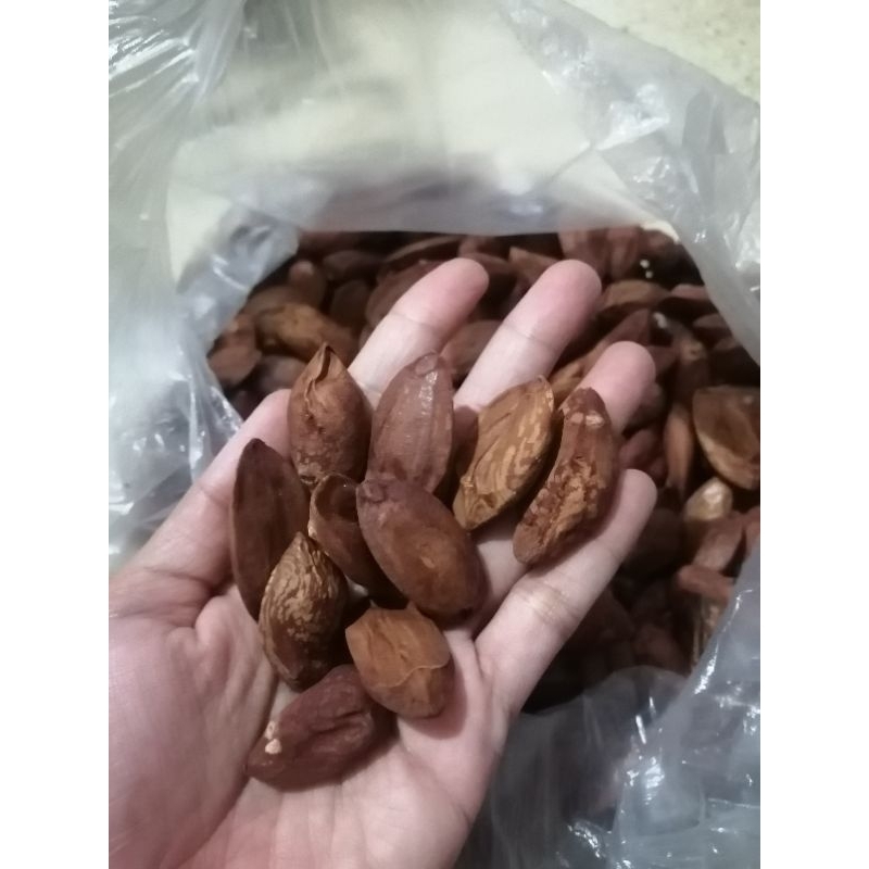 Original Walnuts from Maluku (Price per kg) | Shopee Malaysia