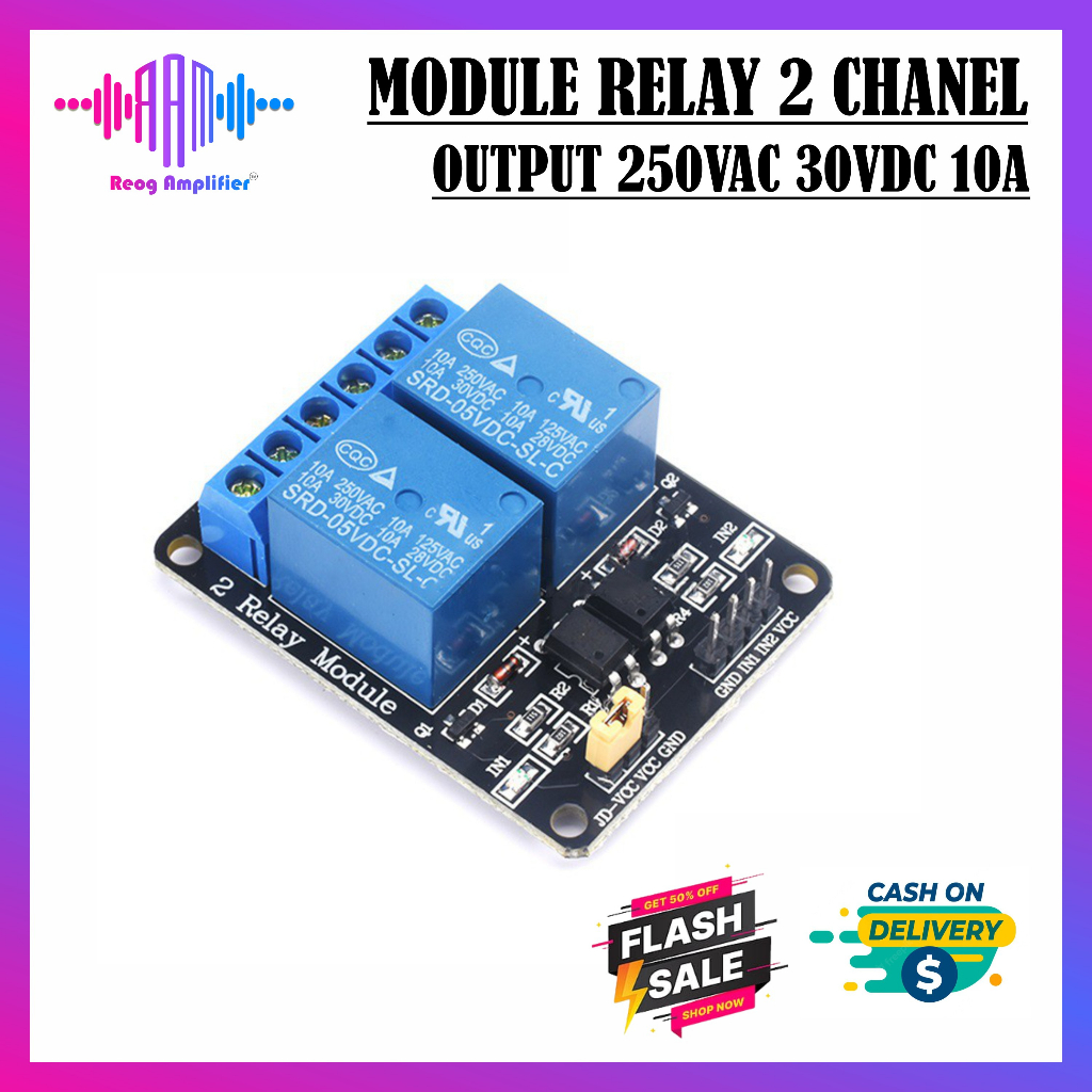 Relay 5V 2channel OUTPUT 250VAC 30VDC 10A WITH OPTOCUPLER Module ...