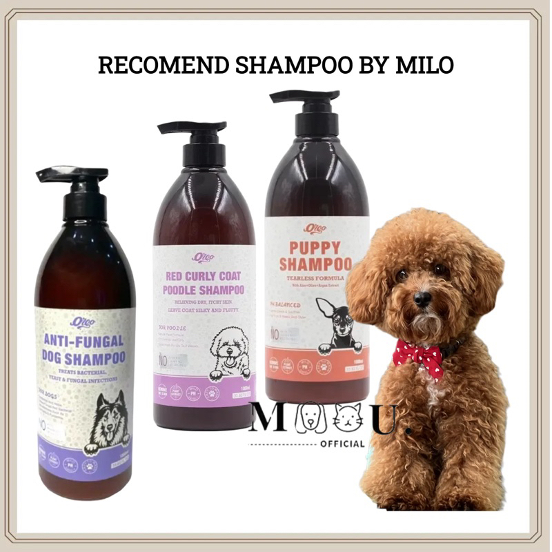 Moou - Orgo Red Curly/ Puppy/ Anti Fungal Shampoo 1000Ml (Super Durable ...