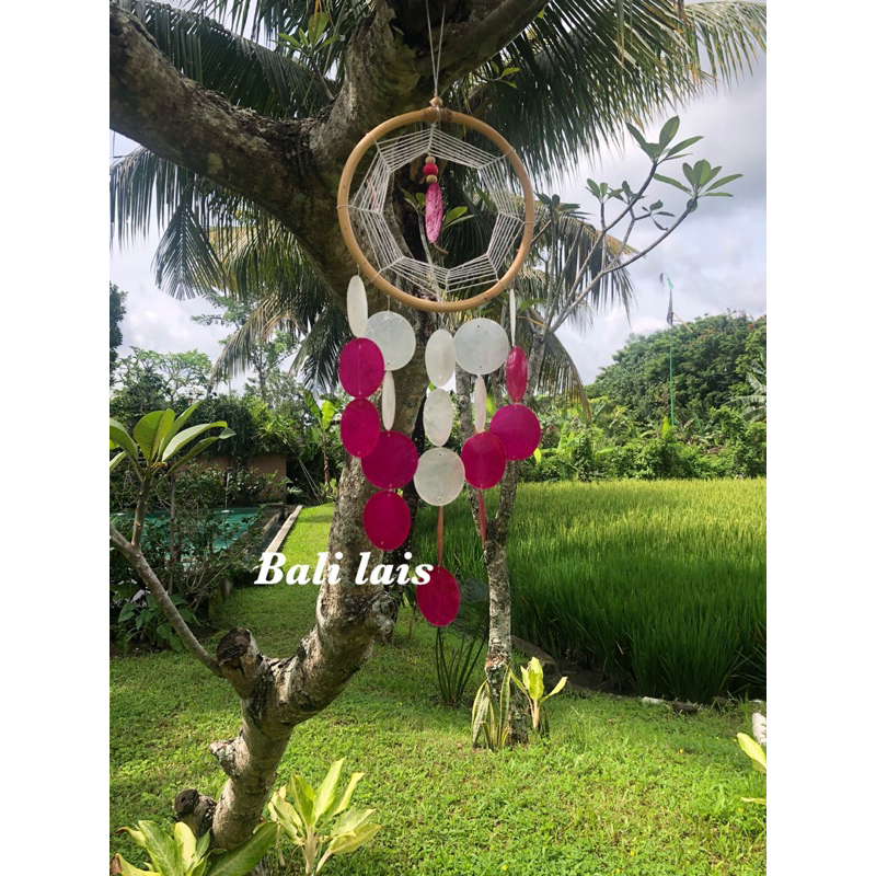 Dream Catcher shell wind chimes/wind chimes/dream Catcher shells ...