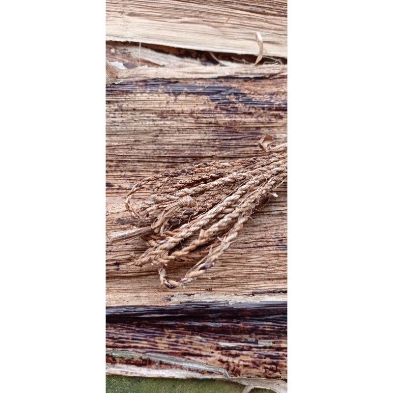 Dried Banana Midrib Rope/ Banana Leaf Craft Rope/1meter/ Dried Banana ...