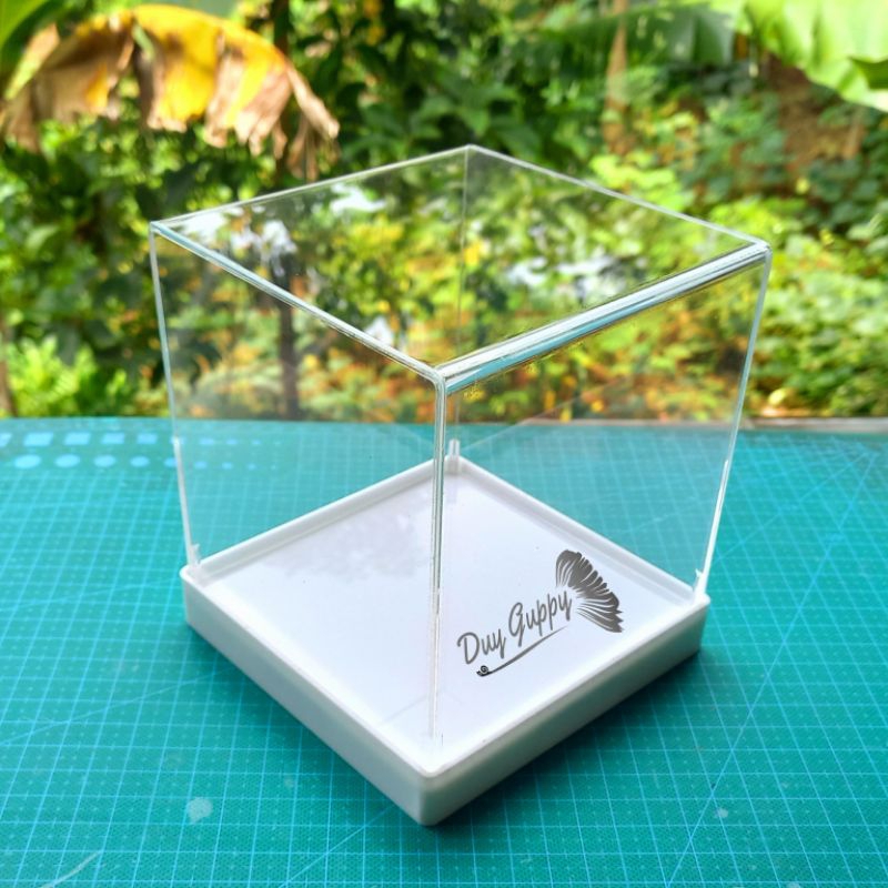 Display box/acrylic dowry box, white base | Shopee Malaysia