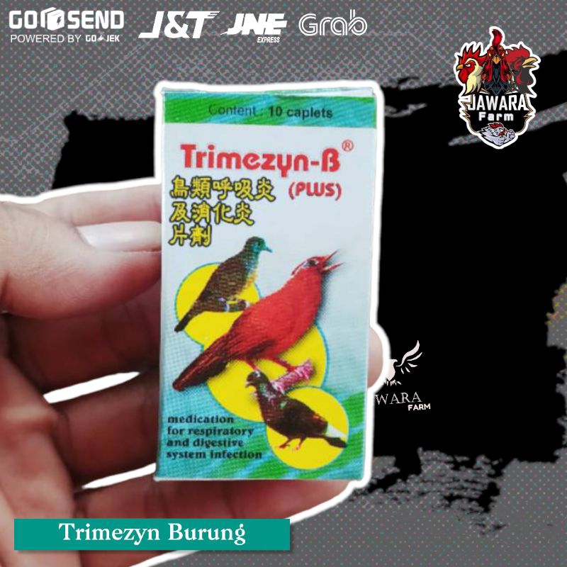 Trimezyn Bird B Plus - Medicine for Respiratory Infections for Birds ...