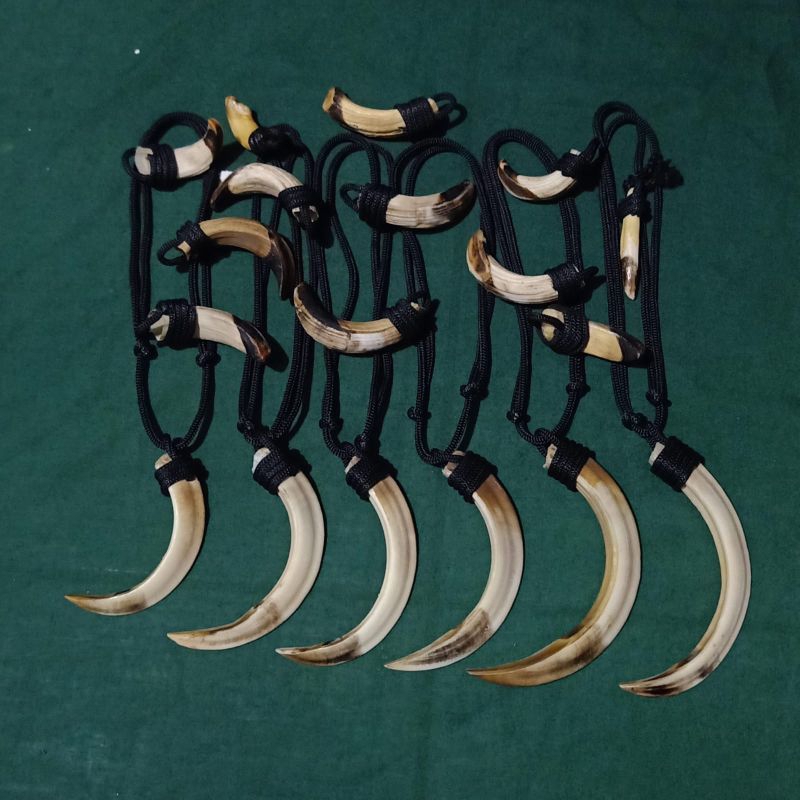 Original Sumatran Tarbi Necklace 12-15cm | Shopee Malaysia