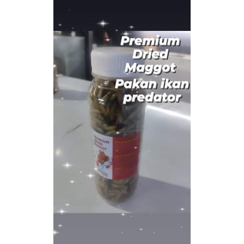 Dried maggot fish food | Shopee Malaysia