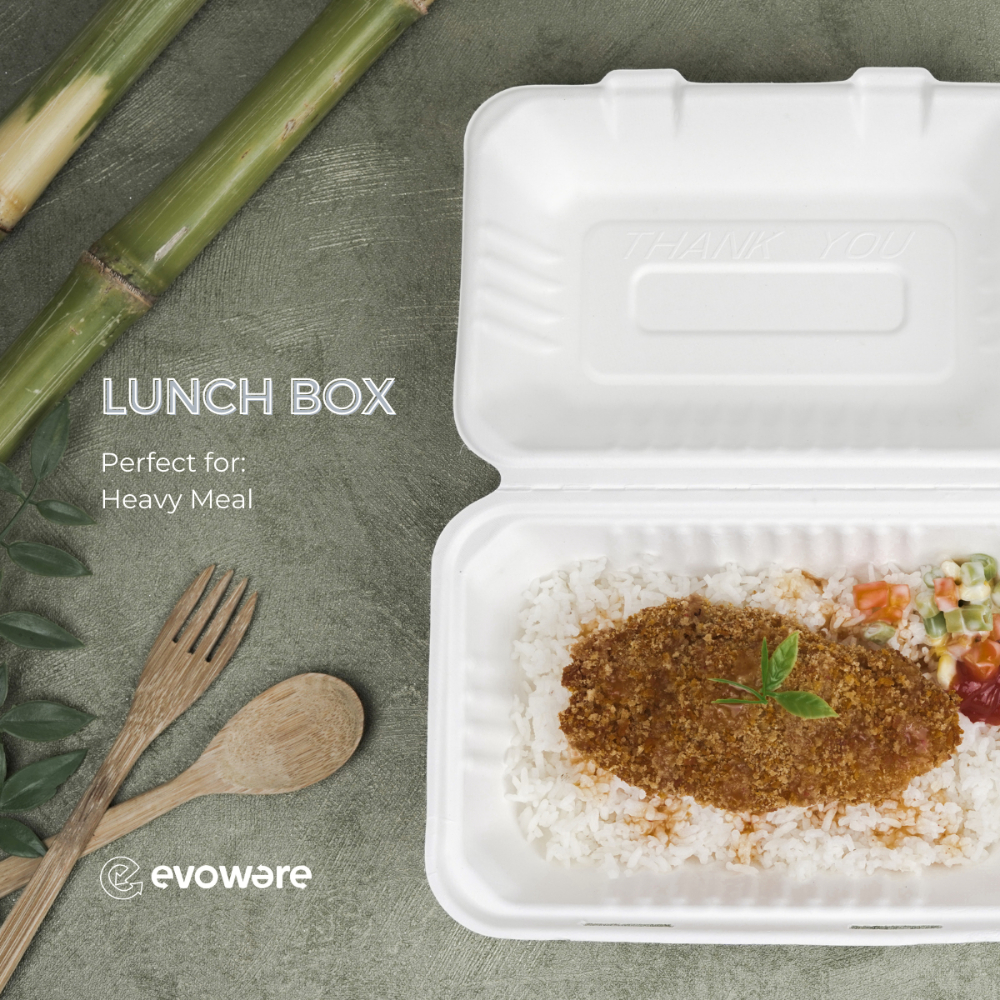 Bio Lunch Box Environmentally Friendly 1000ml Styrofoam Replacement ...