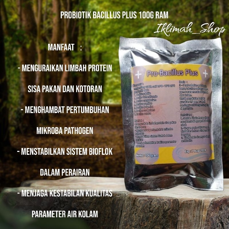 Probiotic bacillus plus 100gram/probiotic Pool bioflok/Probiotic ...