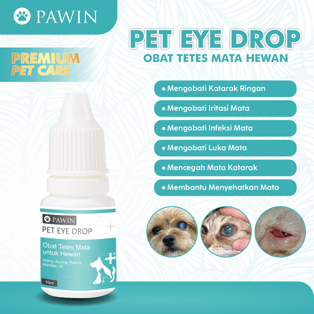 MATA Eye Drops Cataract Wounds Dogs Cats Eye Medicines Eye Irritation ...
