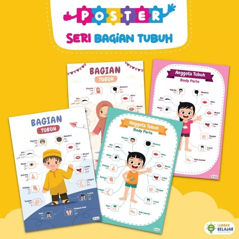 [DOUBLE Lamination] Educational Poster To Know The Limbs, Wipe And ...