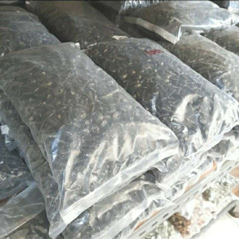 Yamaha worm screws 5×16 ory (pack of 1000 pcs) | Shopee Malaysia
