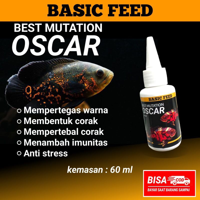 Basic FEED Best Seller!! oscar | Red oscar Fish Progress Mutation ...
