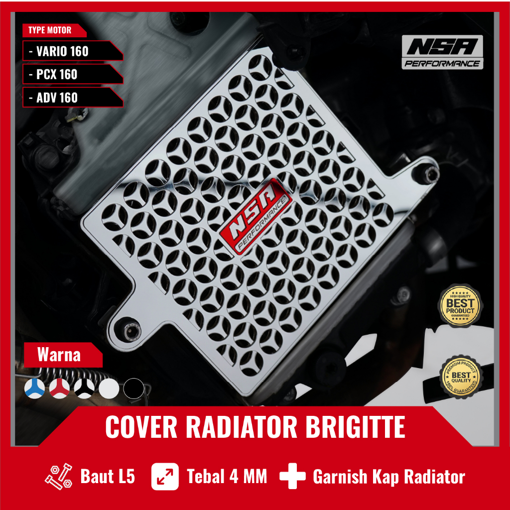Vario 160 PCX 160 ADV 160 NSA TWOTONE BRIGITTE RADIATOR COVER VARIO 160 ...