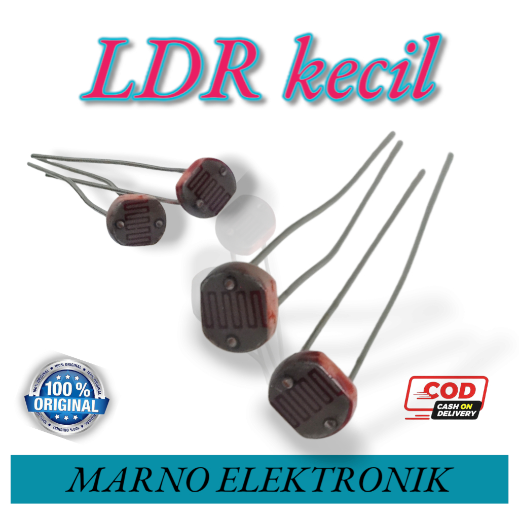 Original SMALL LDR (ORI) | Shopee Malaysia