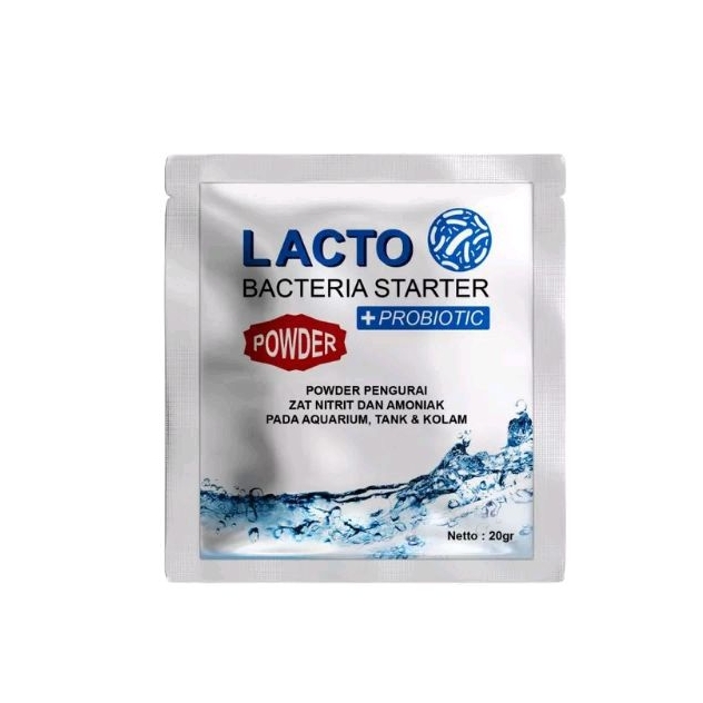 LACTO BACTERIA STARTER PROBIOTIC POWDER PROBIOTIC STARTER BACTERIA 20GR ...
