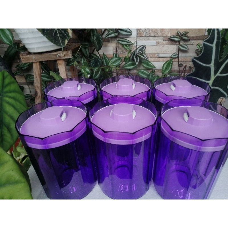 UNGU Advanced counterpart tupperware Purple (1) | Shopee Malaysia