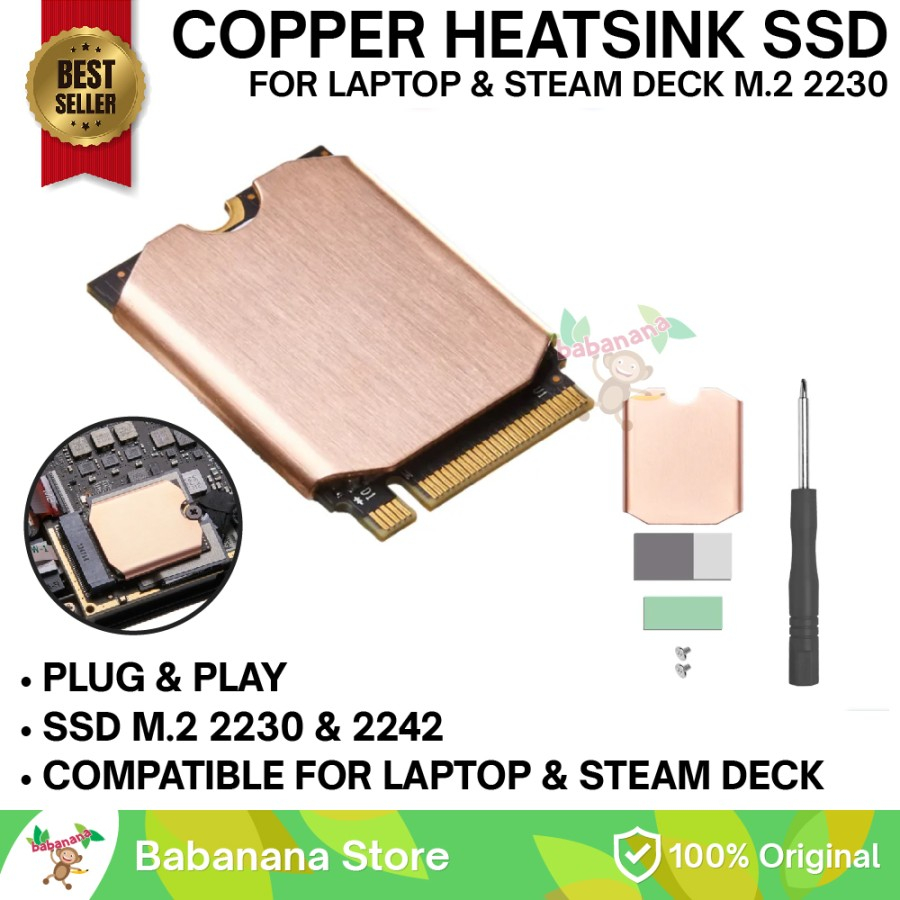 HEATER SSD M.2 NVME M.2 SATA 2230 COOLER STEAM DECK LAPTOP COOLER ...
