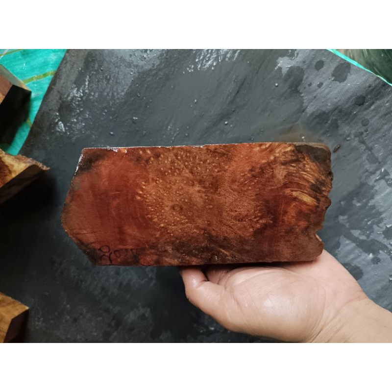 KAYU Burl Wood, Forest Mortar, Craft Material. M012309 | Shopee Malaysia
