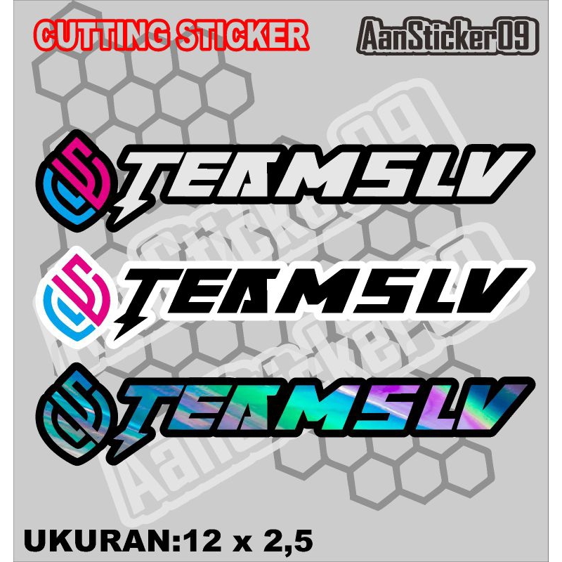 Motorcycle variation stickers TEAMSLV cutting stickers, quality cutting ...
