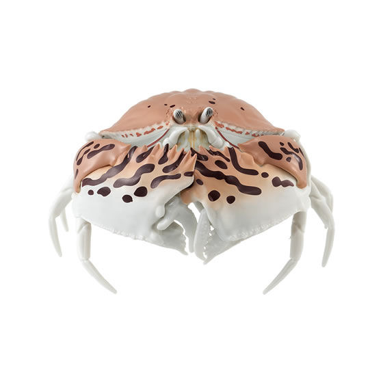 Calappa Dangomushi 06 Kani Crab Crab Bandai Gacha Gashapon Capsule Toy ...