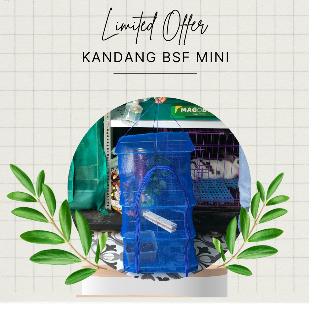 Mini BSF Cage for Cultivating Black Soldier Fly | Shopee Malaysia