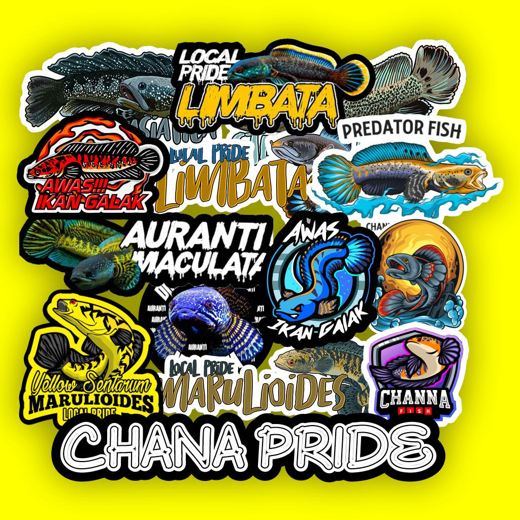Chana STICKERS CONTENTS 14 PCS, VYNIL WATERPROOF MATERIAL, ALREADY CUT ...