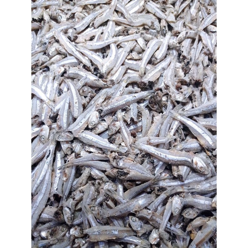 Premium Quality Salted Anchovy/Salted Anchovy 1kg Pack | Shopee Malaysia