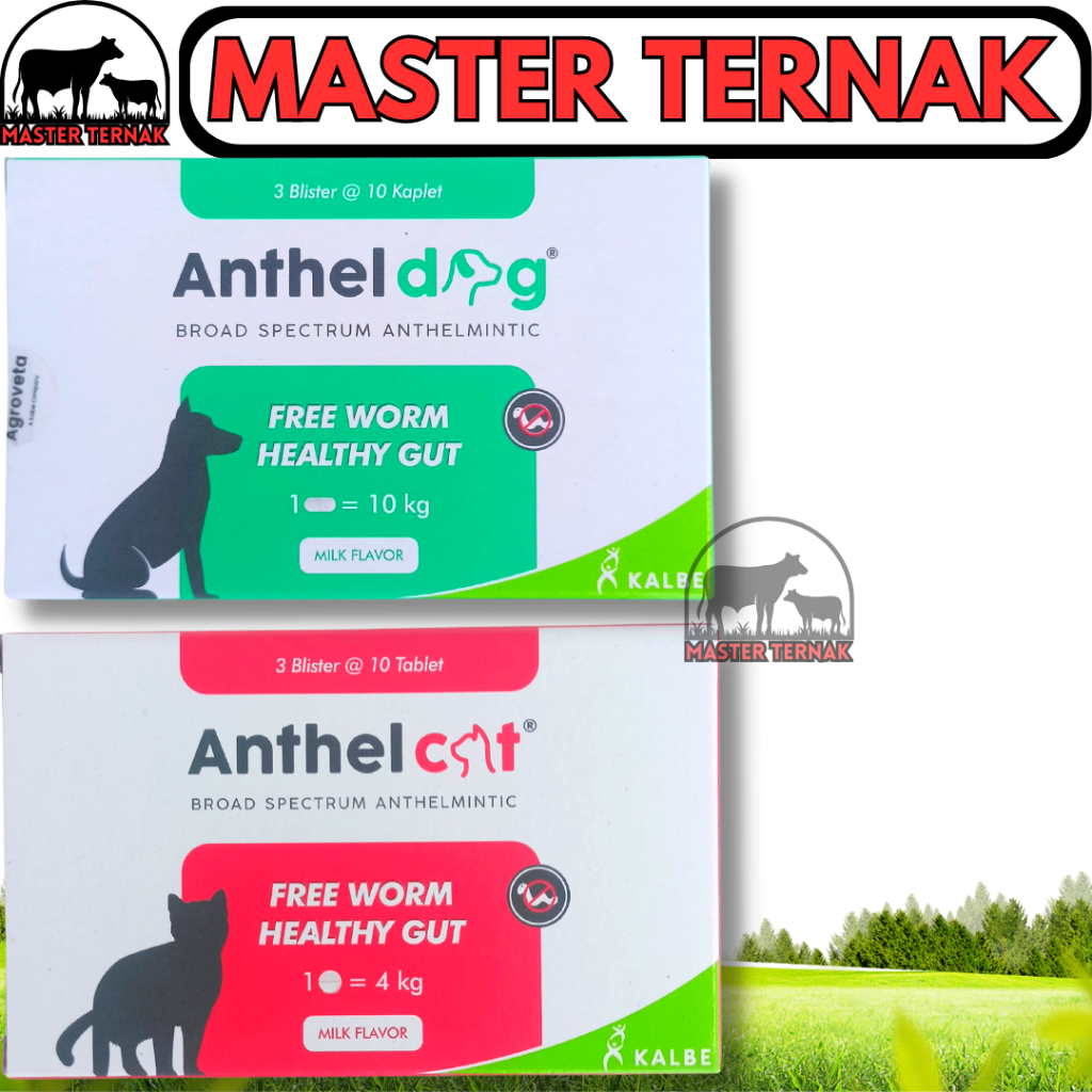 Anthel DOG - ANTHEL CAT - DOG and CAT Deworming Medicine (BLISTER ...