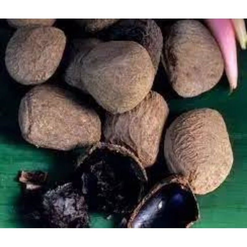 Kluwek / Pucung 1 kg | Shopee Malaysia