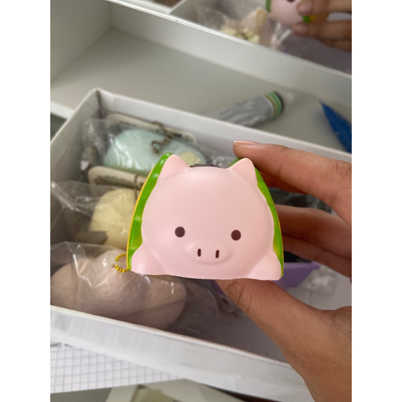 Miniso pig taco squishy licensed egg surprise opened | Shopee Malaysia